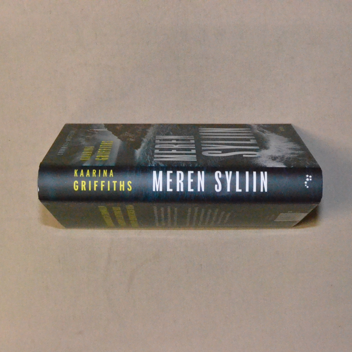 Kaarina Griffiths Meren syliin