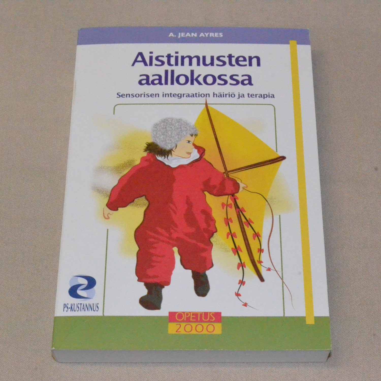 A. Jean Ayres Aistimusten aallokossa