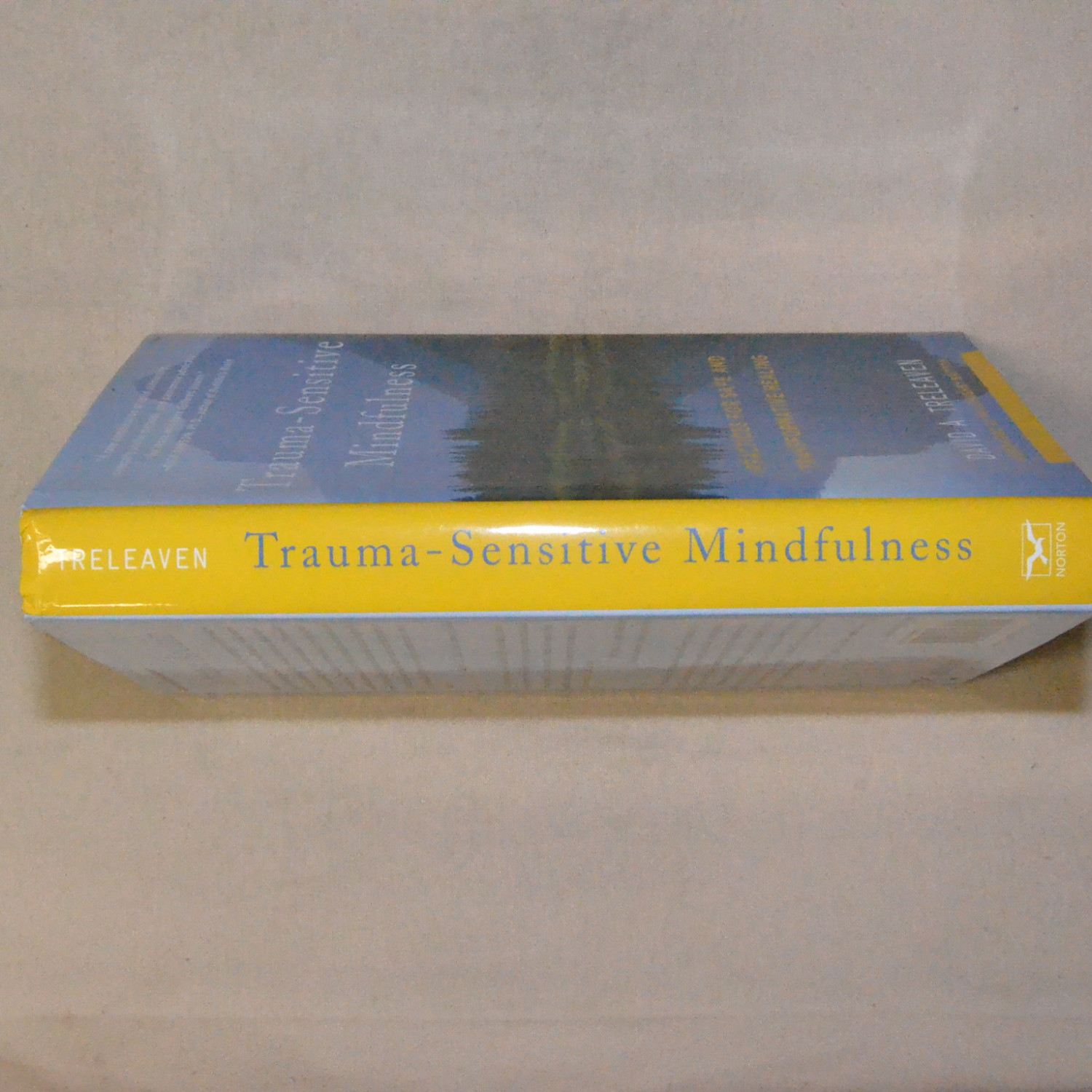 David A. Treleaven Trauma-Sensitive Mindfulness