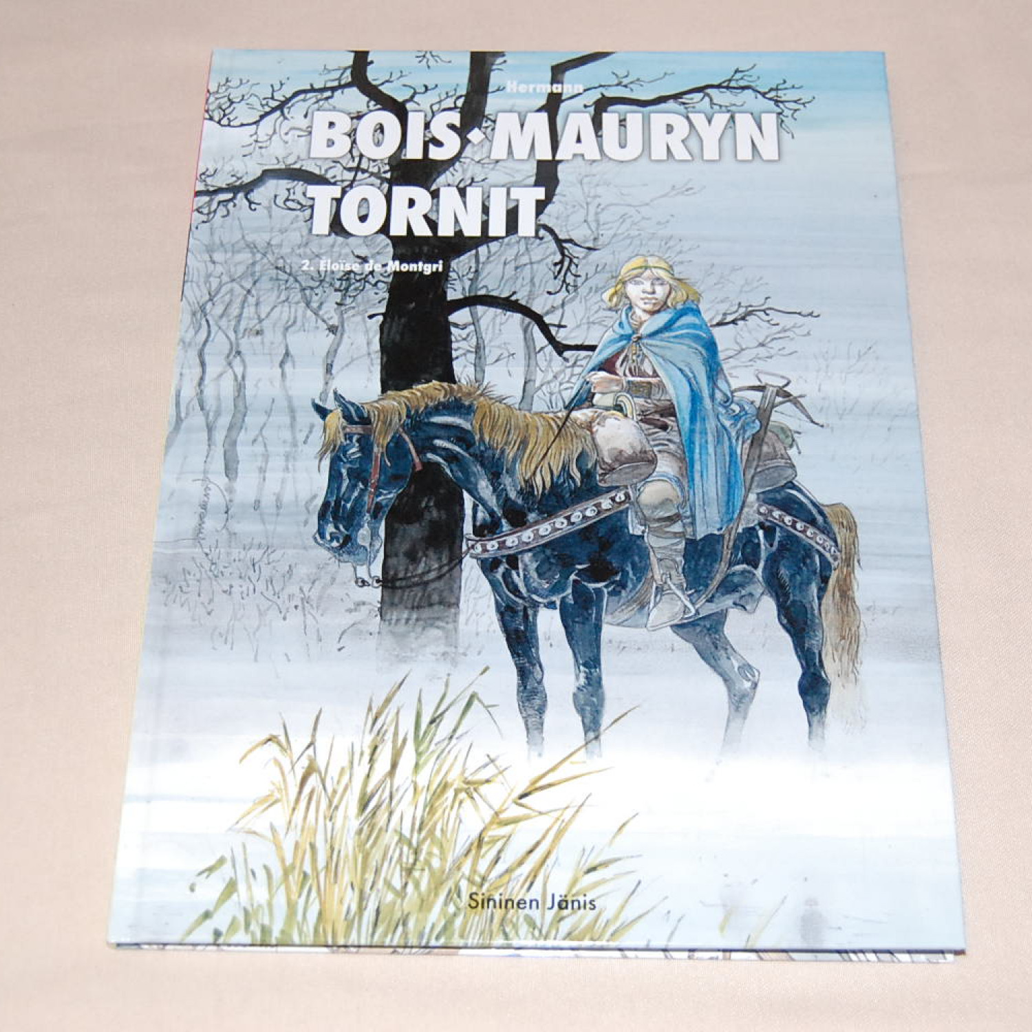 Bois-Mauryn tornit 2 Éloïse de Montgri