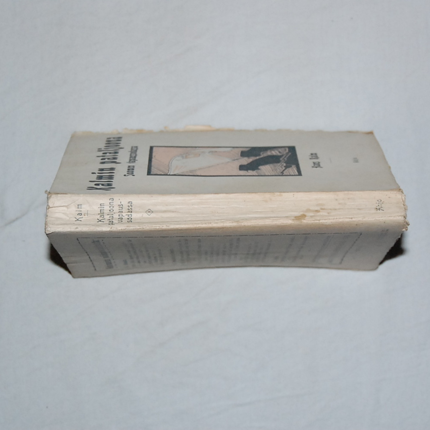 Hans Kalm Kalmin pataljoona Suomen Vapaussodassa