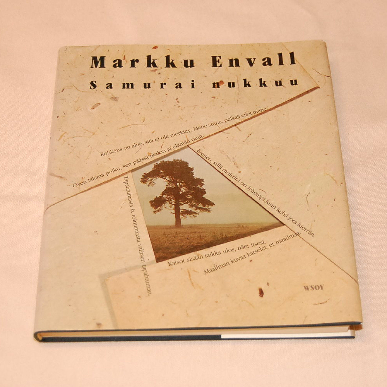 Markku Envall Samurai nukkuu