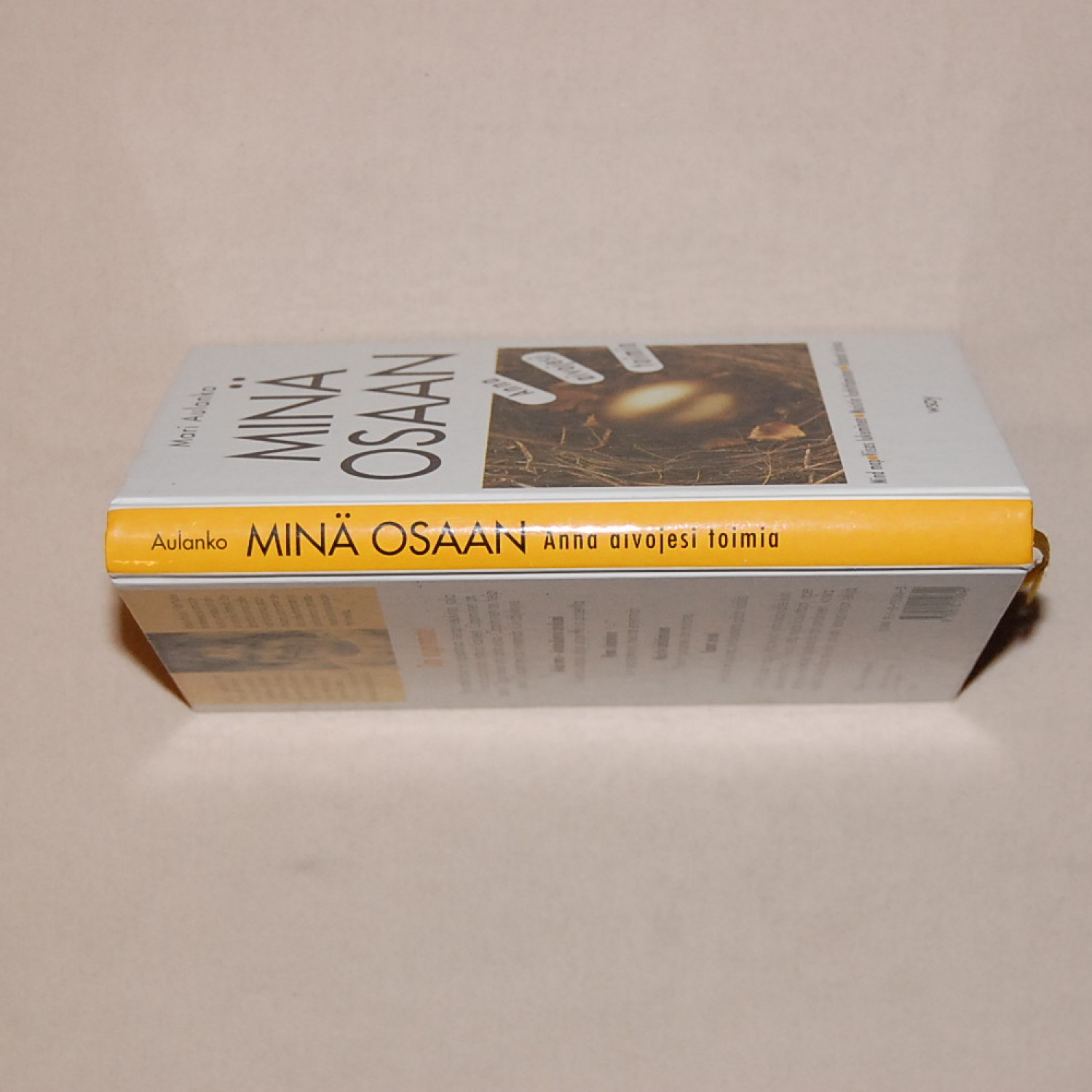 Mari Aulanko Minä osaan
