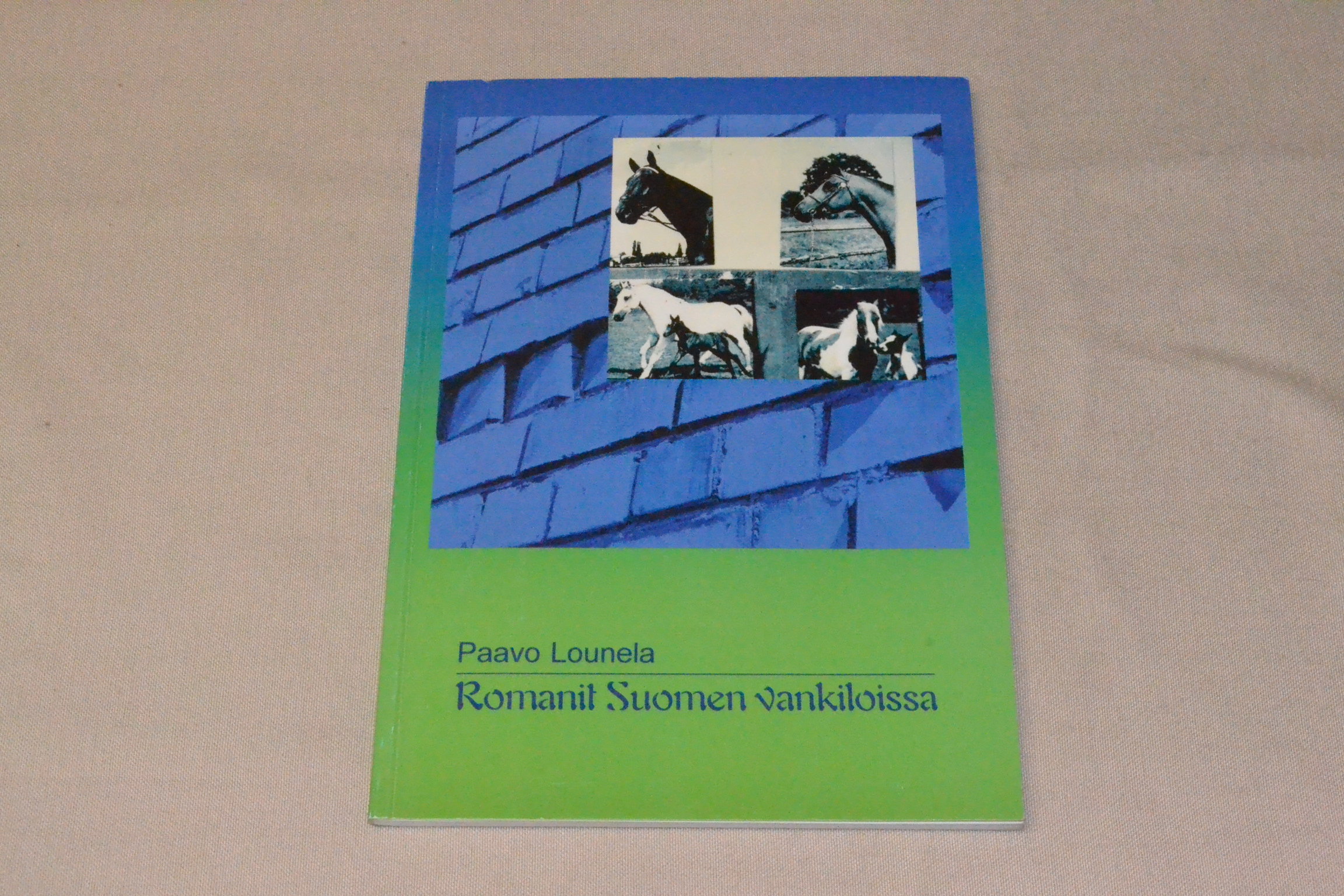 Paavo Lounela Romanit Suomen vankiloissa