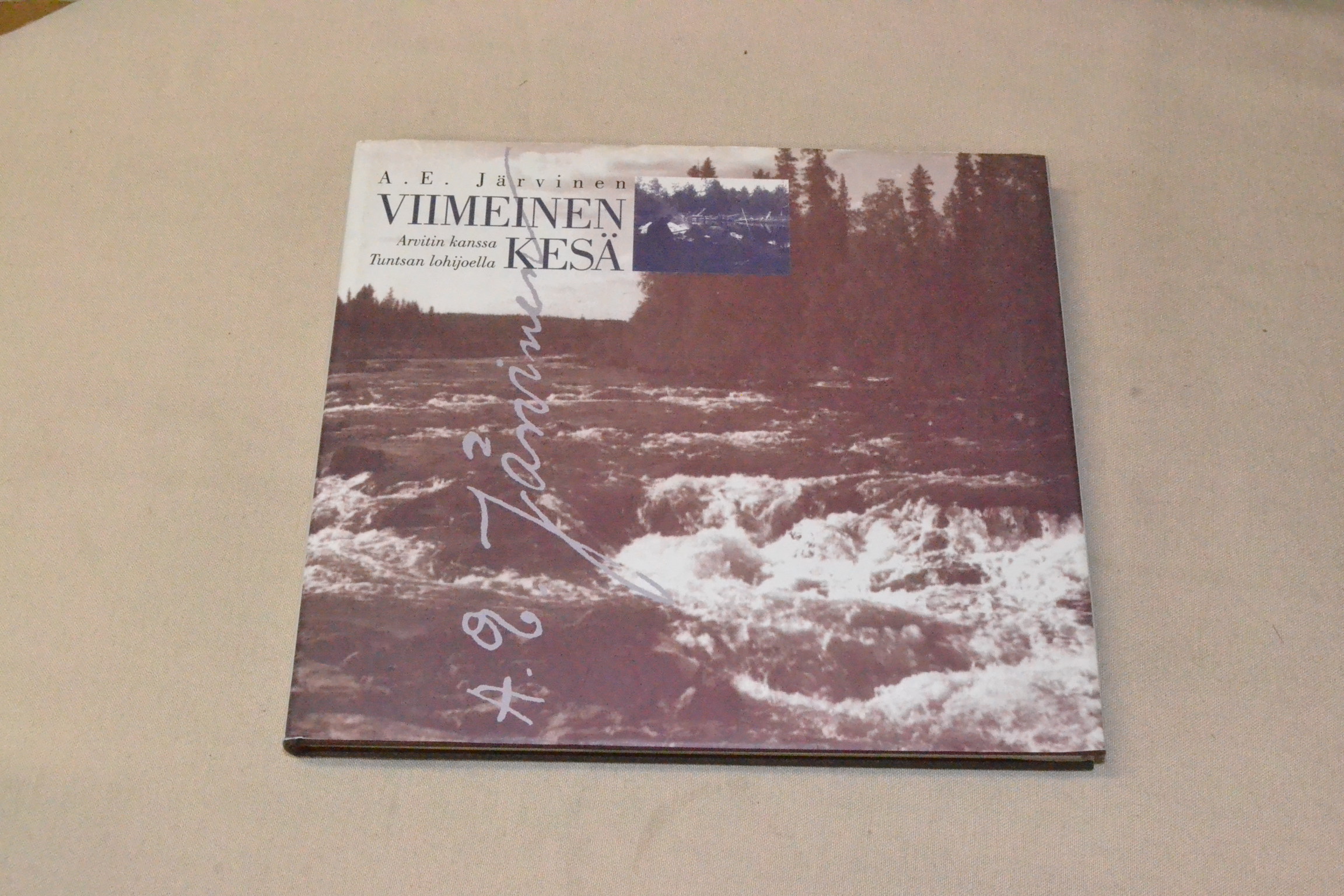 A.E. Järvinen Viimeinen kesä