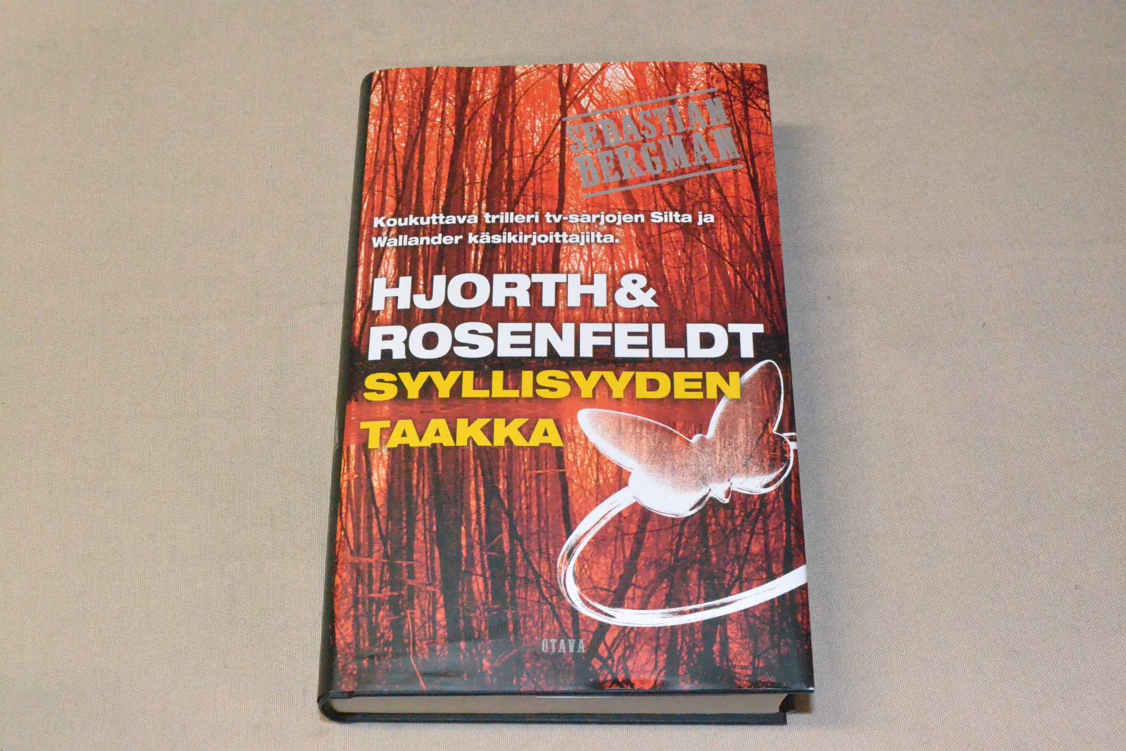 Hjorth & Rosenfeldt Syyllisyyden taakka