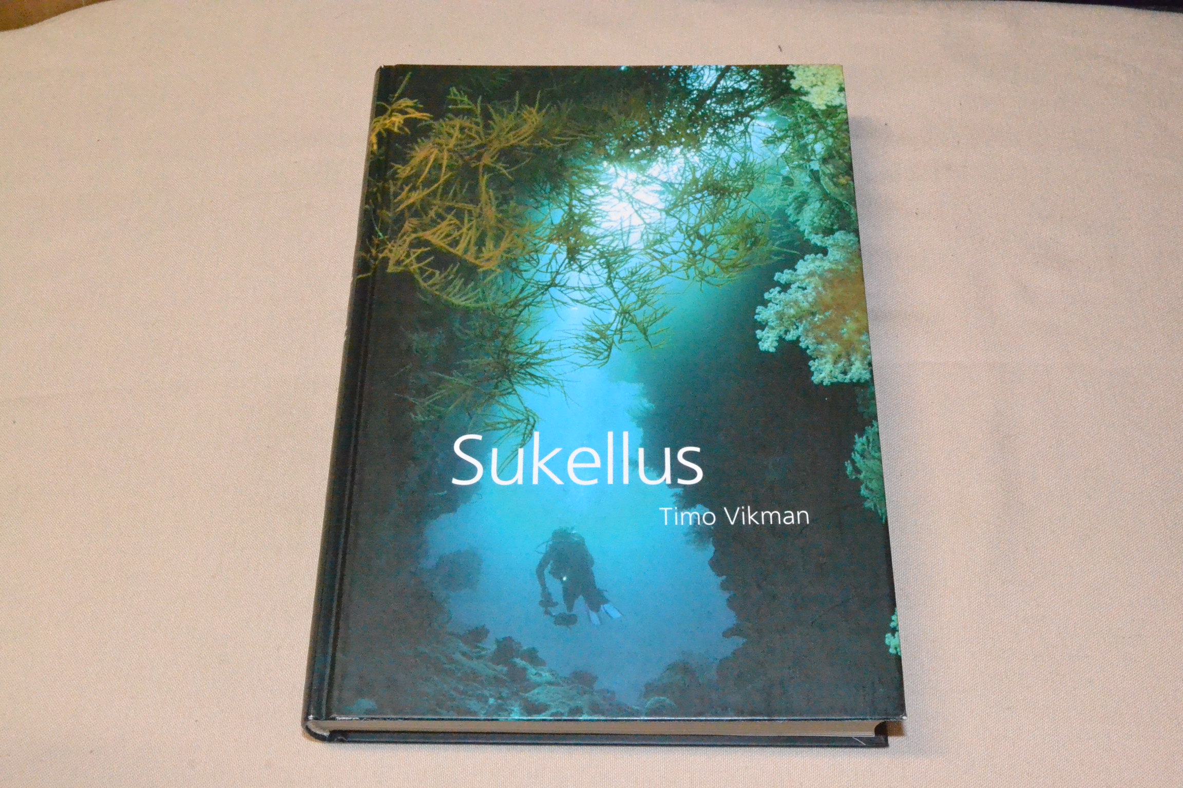 Timo Vikman Sukellus