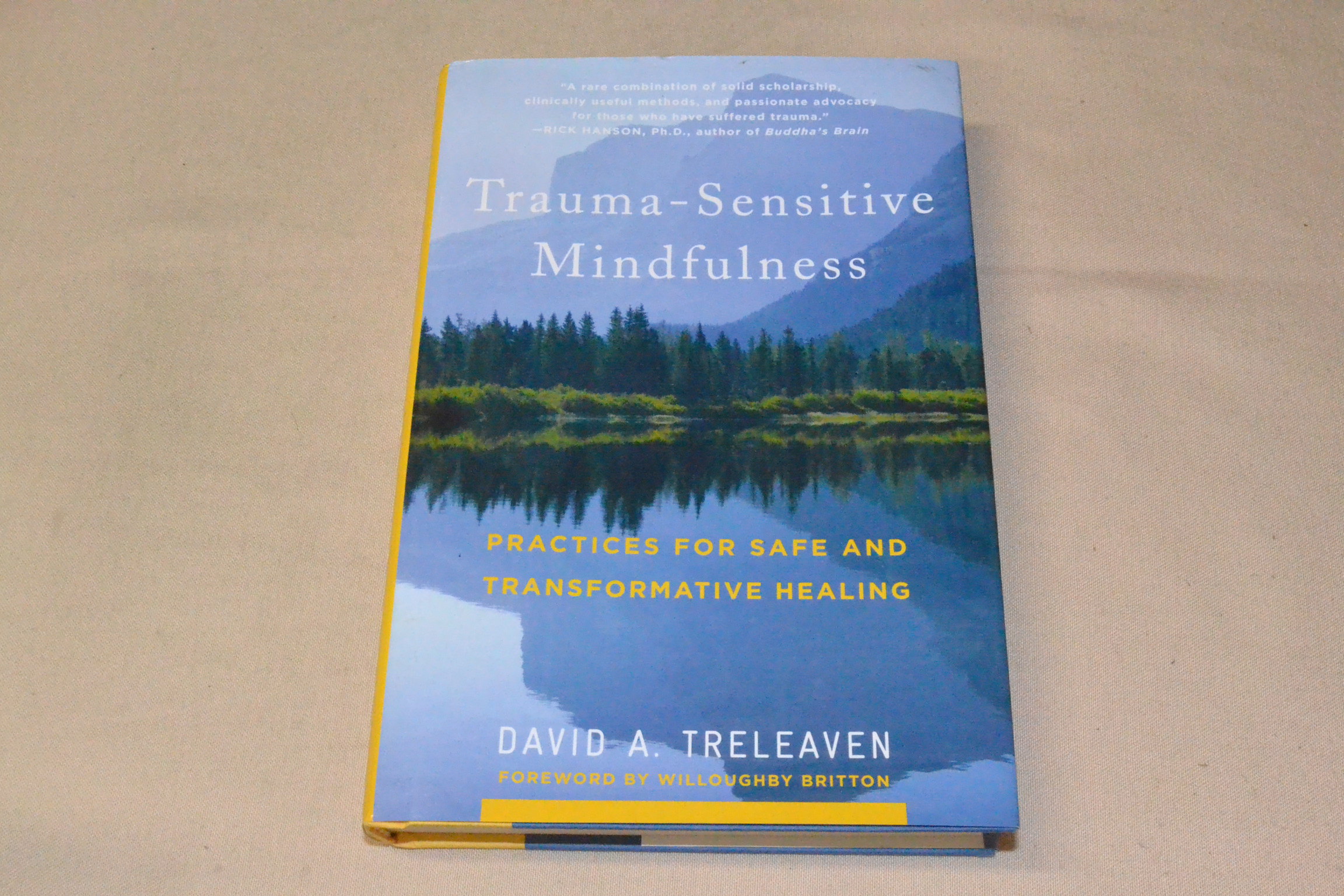 David A. Treleaven Trauma-Sensitive Mindfulness